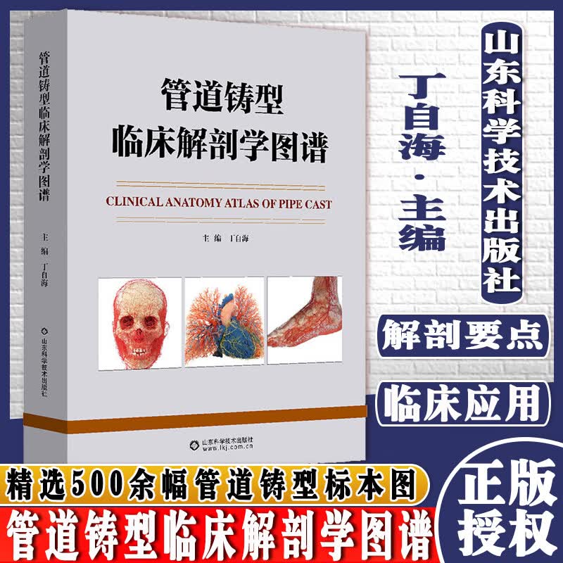 管道铸型临床解剖学图谱山东科学技术出版社9787572309441丁自海