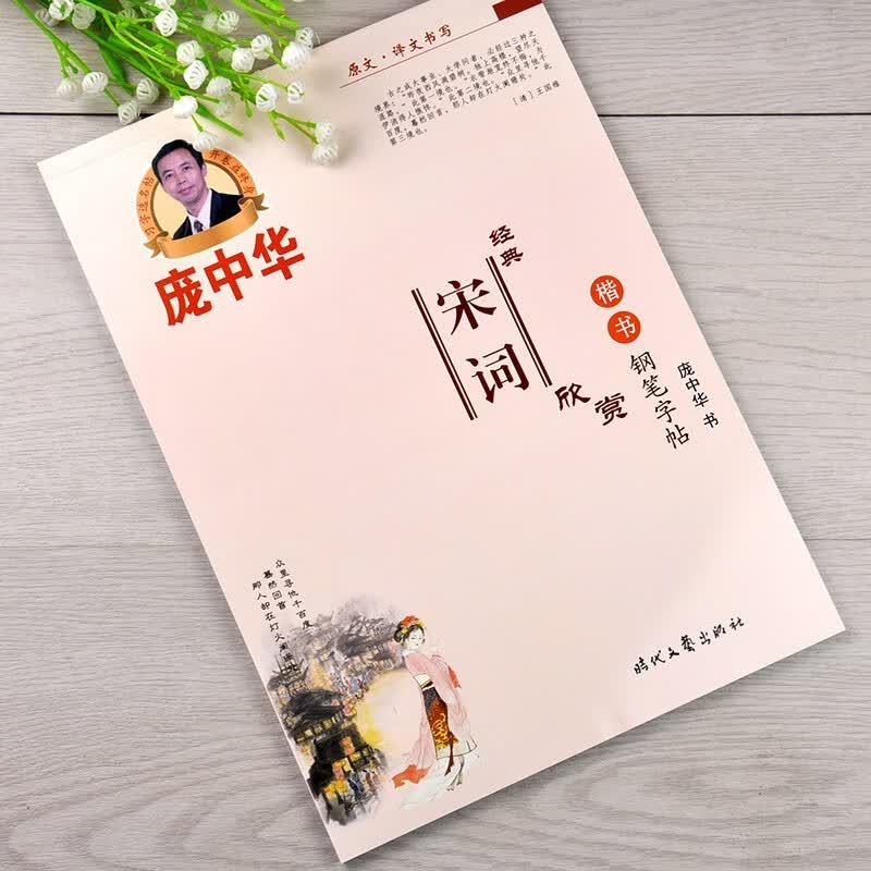 庞中华楷书字帖成人大学生练字帖硬笔书法练字本司马彦字帖正楷钢笔临摹练字帖唐诗宋词格言手写字体漂亮笔画笔顺绝句精华毛泽东诗词楷书正楷字帖 庞中华楷书宋词欣赏