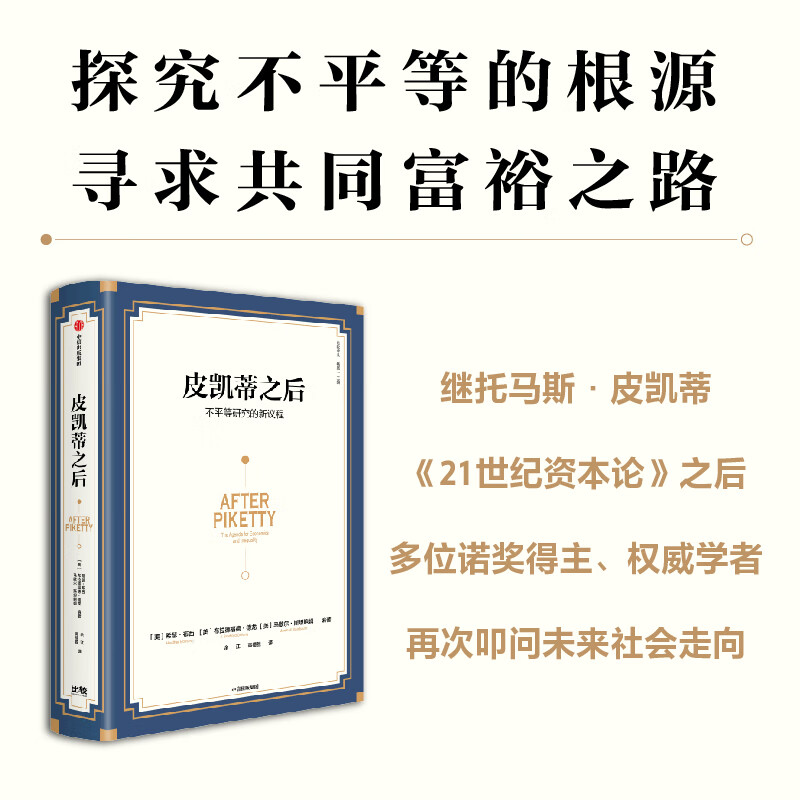 皮凯蒂之后(不平等研究的新议程)(精)/比较译丛