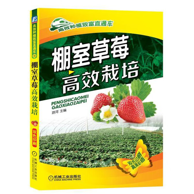 棚室 草莓高效栽培 草莓育苗技术 栽培管理 无土栽培模式参考书 常见病虫害及防治用书 草莓棚室栽培技