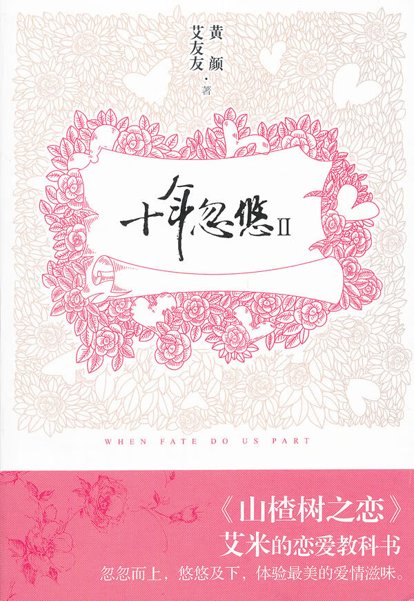 十年忽悠 黄颜艾友友【书】