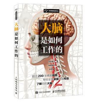 大脑是如何工作的 [日]木村泰子【，放心购买】
