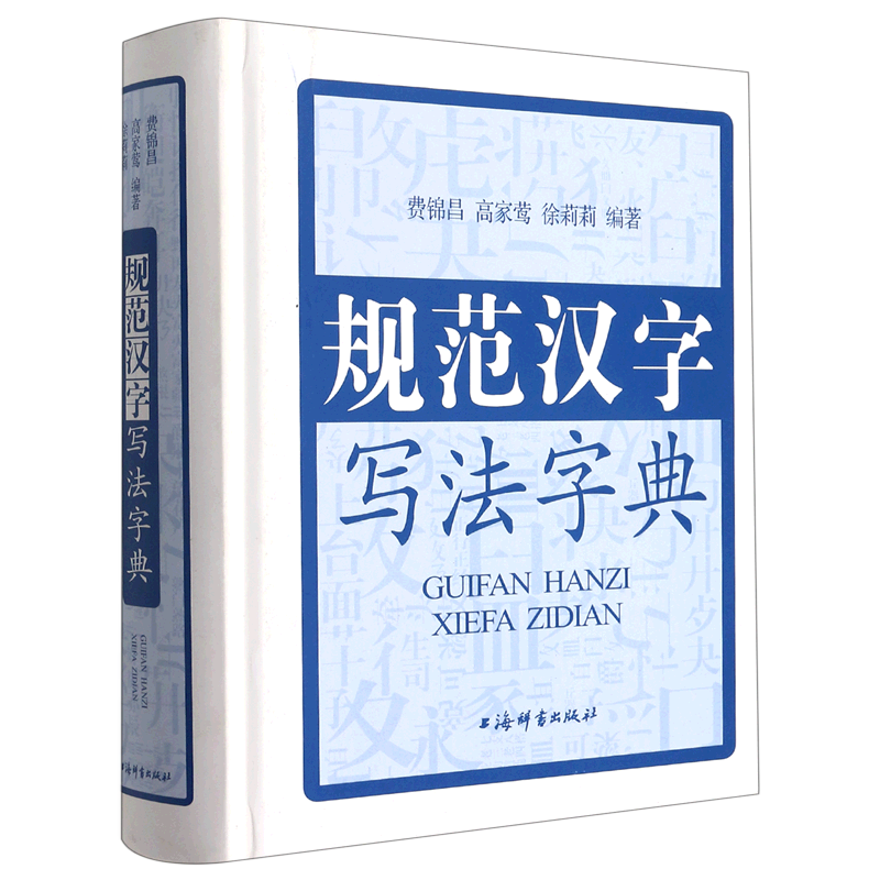 规范汉字写法字典(精)