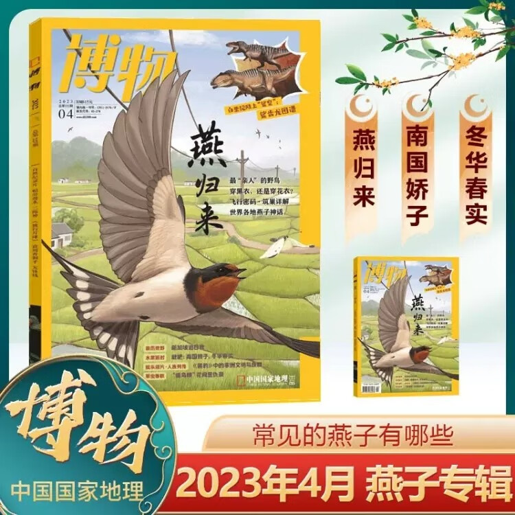 博物杂志2023年8月 高大的树 2022年1-10/11/12月 2018年（自选期数）自然人文百科畅销书科普系列丛书 中国国家地理出品 博物： 2023年4月第4期 燕子