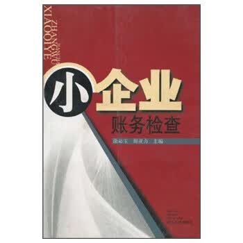 小企业账务检查