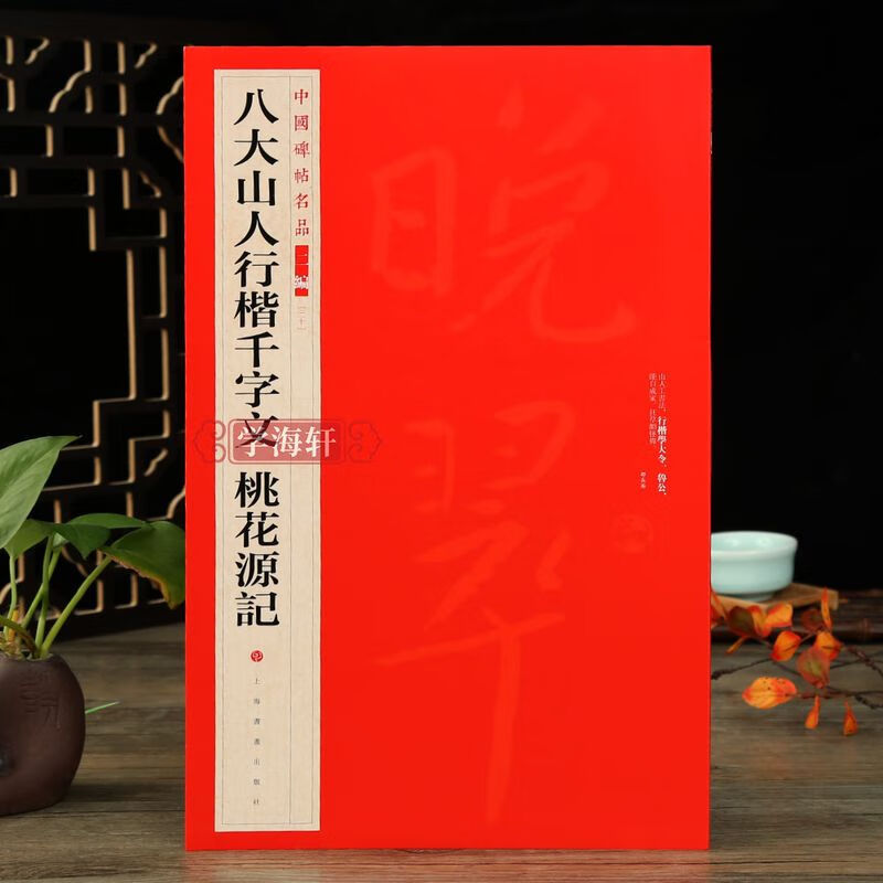 学海轩 八大山人行楷千字文桃花源记中国碑帖名品二编20释文注释繁体旁注行楷书毛笔字帖碑帖书法临摹练古