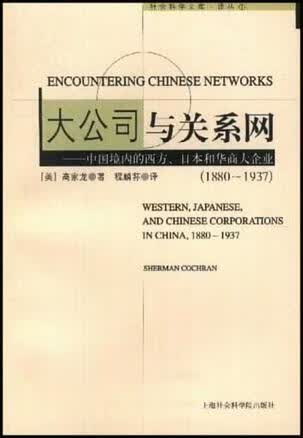 大公司与关系网 高家龙