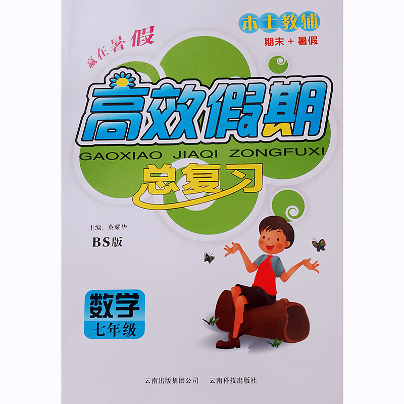 2023赢在暑假高效假期总复习七7年级数学人教RJ北师 数学 七年级下