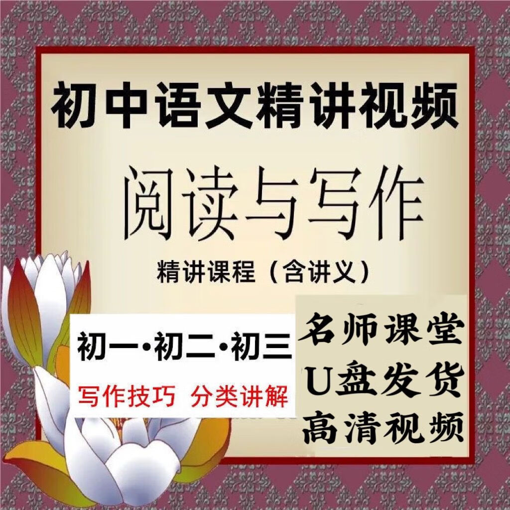 精讲教学视频辅导网课议论章优盘 初三作文与阅读