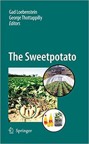 高被引The Sweetpotato