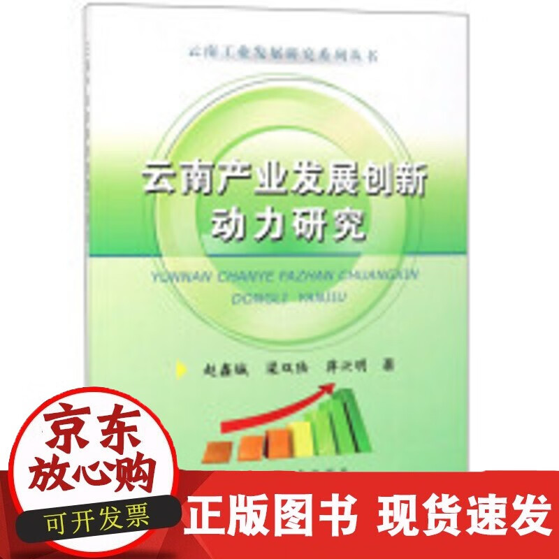 云南产业发展创新动力研究