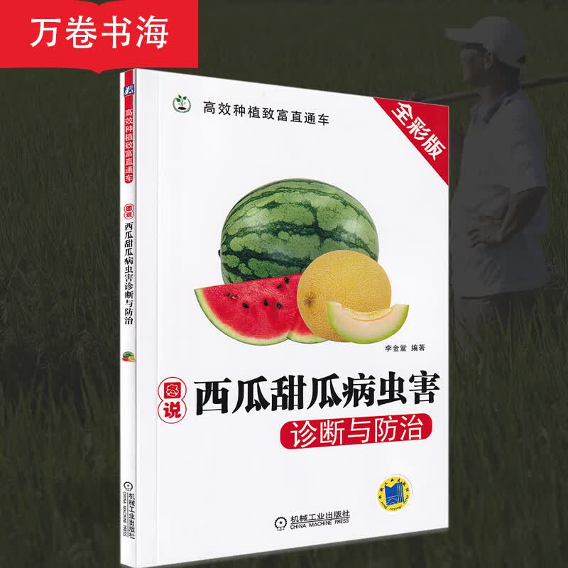 图说西瓜甜瓜病虫害诊断与防治 全彩版 西瓜栽培种植技术书籍 病虫害防治治疗 套种技术 大棚棚室设施西