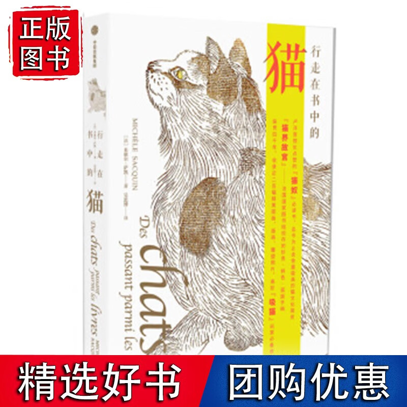 行走在书中的猫