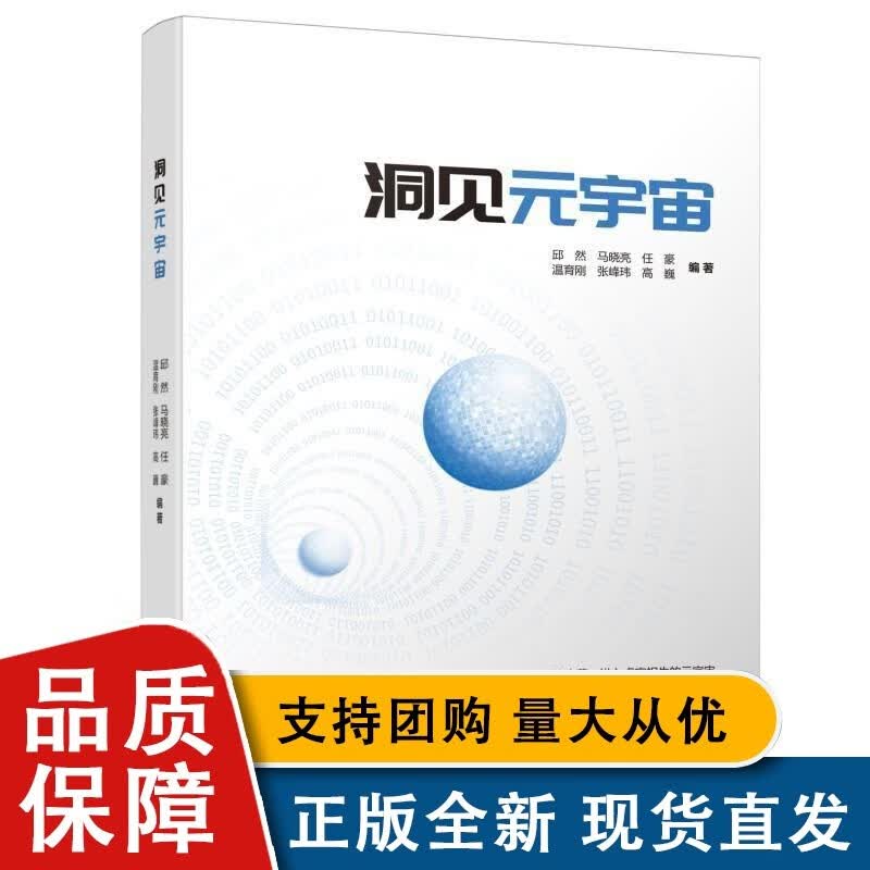 洞见元宇宙邱然 经济书籍