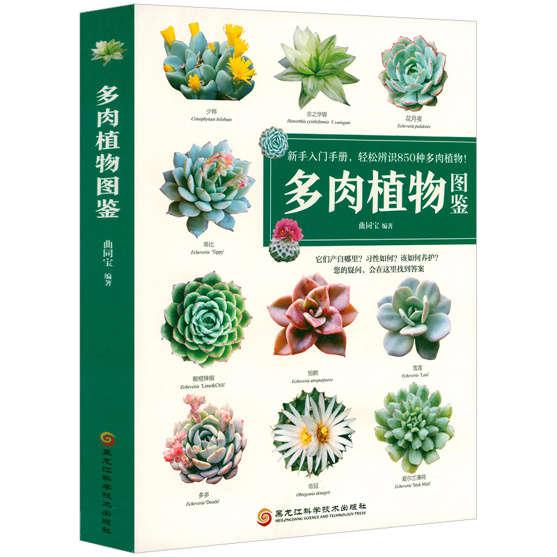 【包邮】多肉植物图鉴：新手入门手册，轻松辨识850种多肉植物！