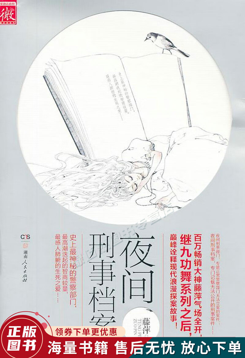 夜间刑事档案