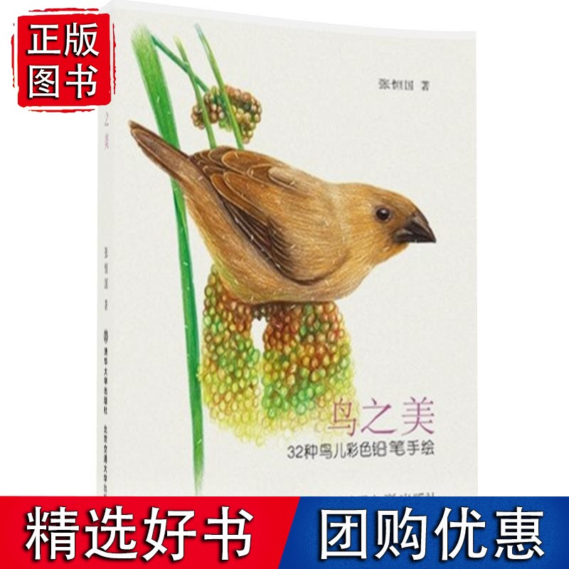 鸟之美