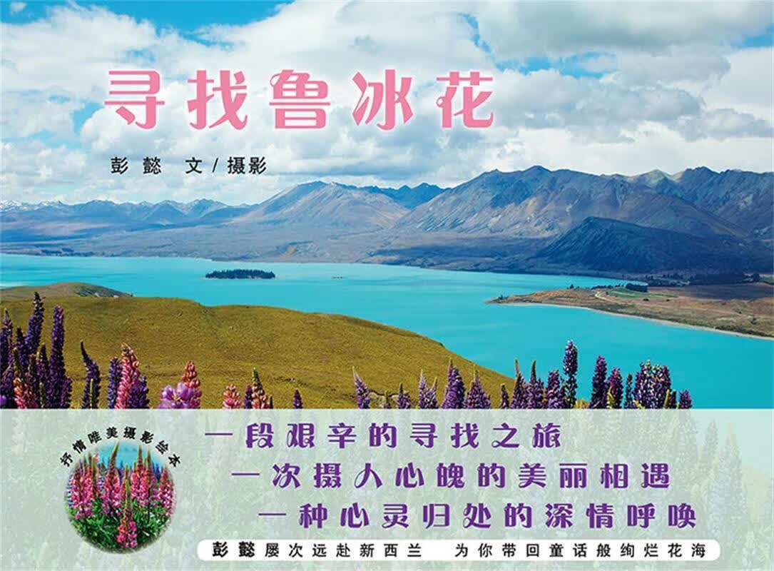 寻找鲁冰花 彭懿