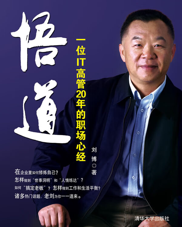 悟道 一位IT高管20年的职场心经【现货】