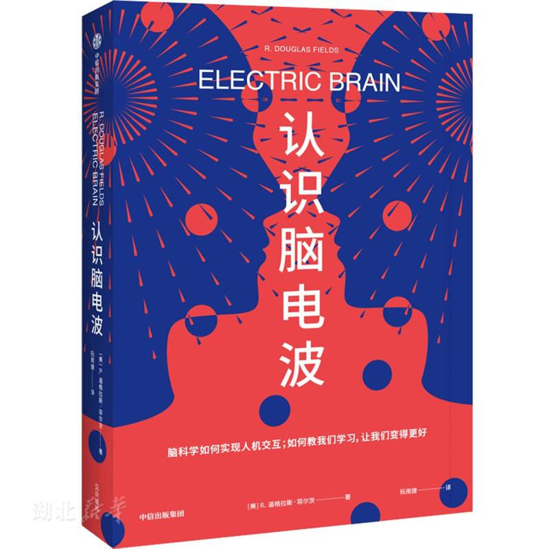 认识脑电波