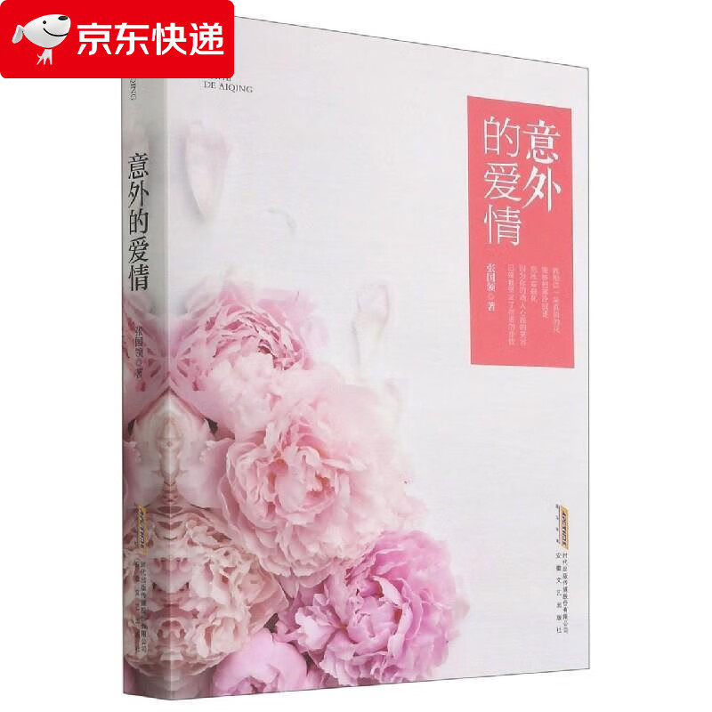意外的爱情 张国领 9787539671024