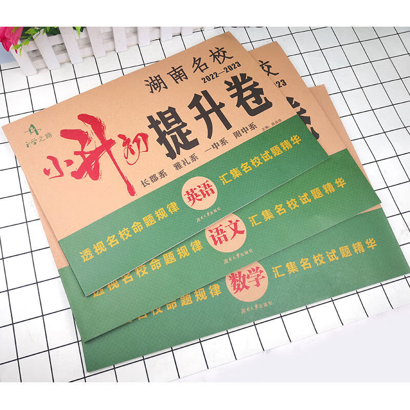 2023版 湖南名校小升初提升卷 数学语文英语湖南四大名校联考真题卷答案详解衔接教材 四大名校分班试卷 语数英-三本套 小学升初中