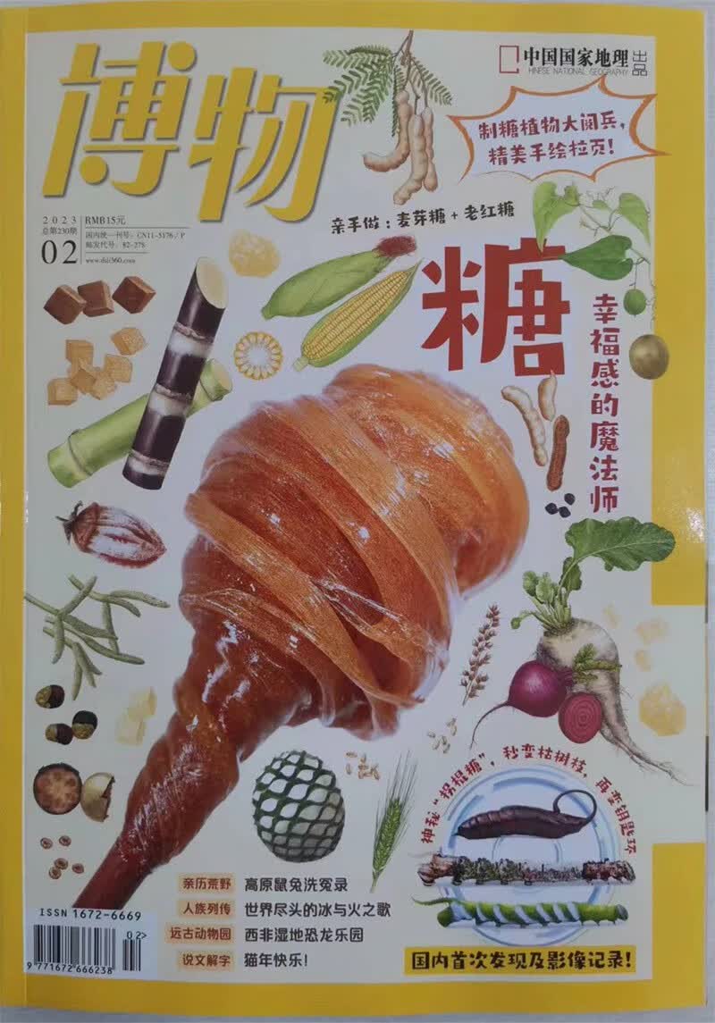博物 2023年2月号 本期主题【糖 幸福感的魔法师】 中国国家地理青春少年版 博物君式科普百科期刊