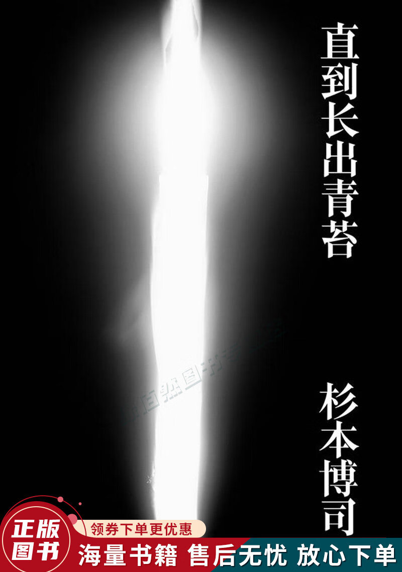 直到长出青苔