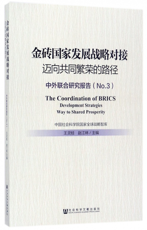 金砖国家发展战略对接(迈向共同繁荣的路径中外联合研究报告No.3)