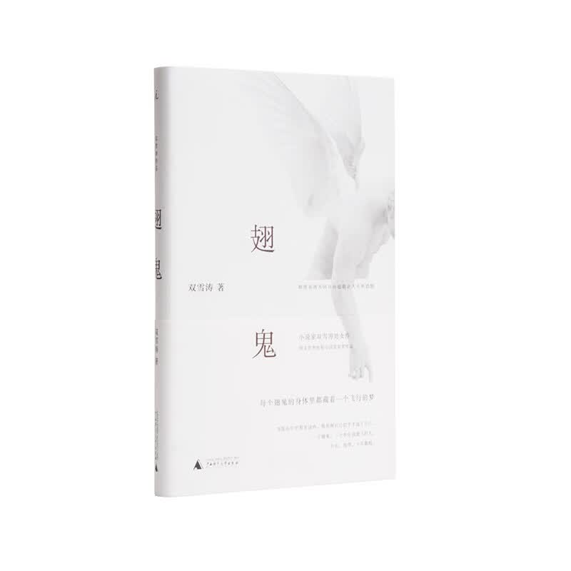 翅鬼 双雪涛 飞行家 小说 理想国