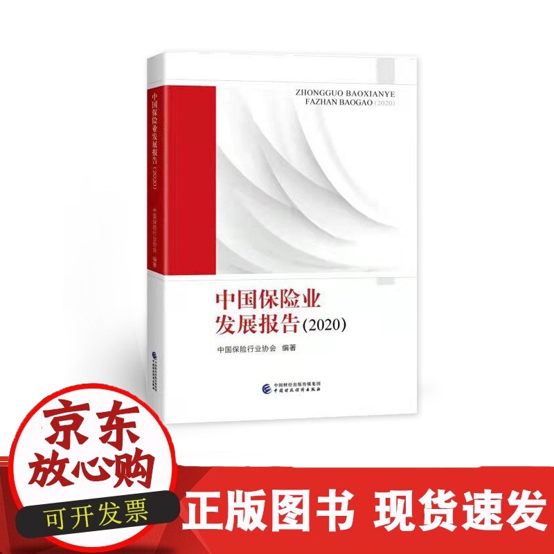 中国保险业发展报告2020 中国保险行业协会