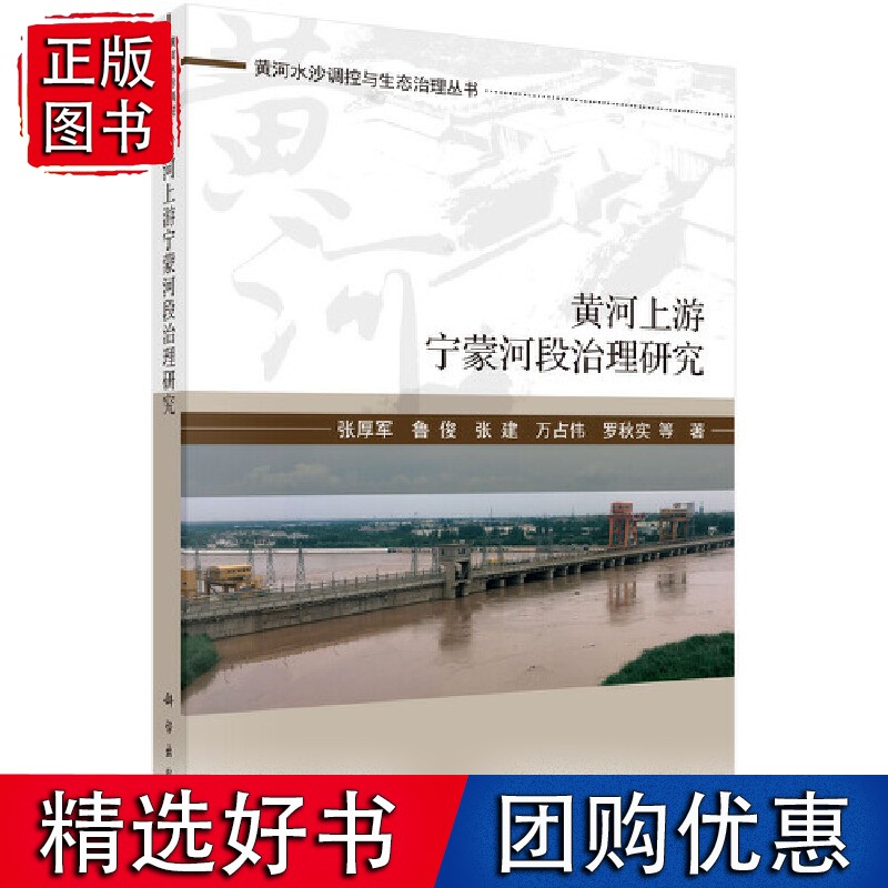 黄河上游宁蒙河段生态治理研究
