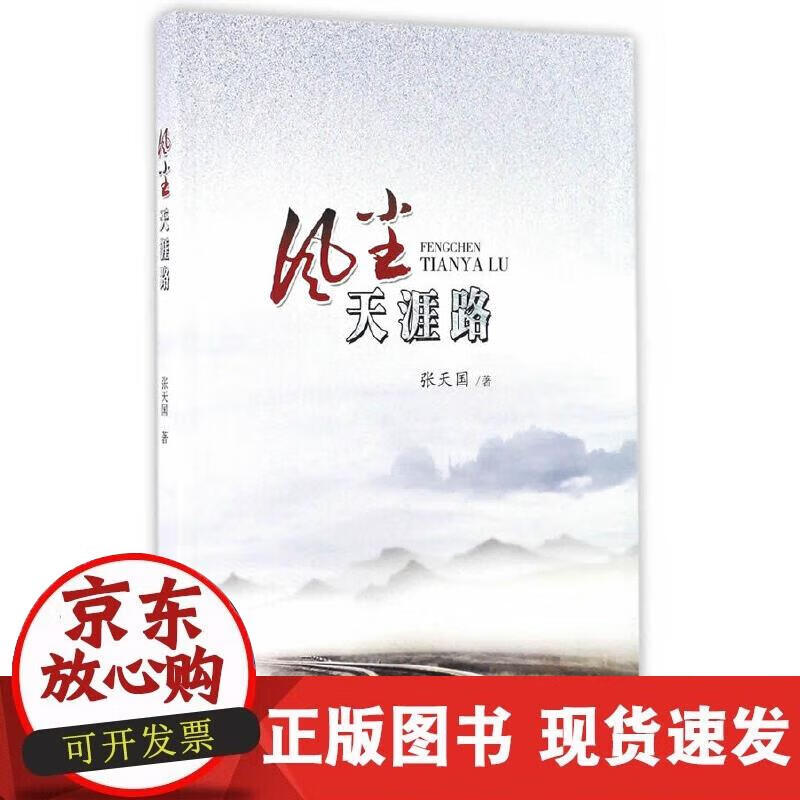 【现货】风尘天涯路