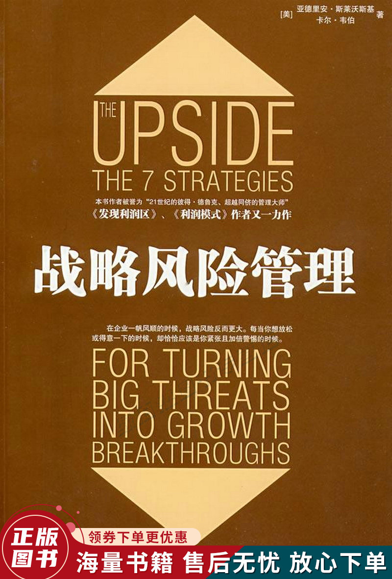 战略风险管理