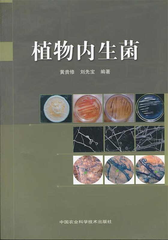 植物内生菌 黄贵修等编著