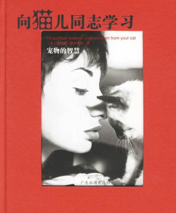 向猫儿同志学习【，放心购买】