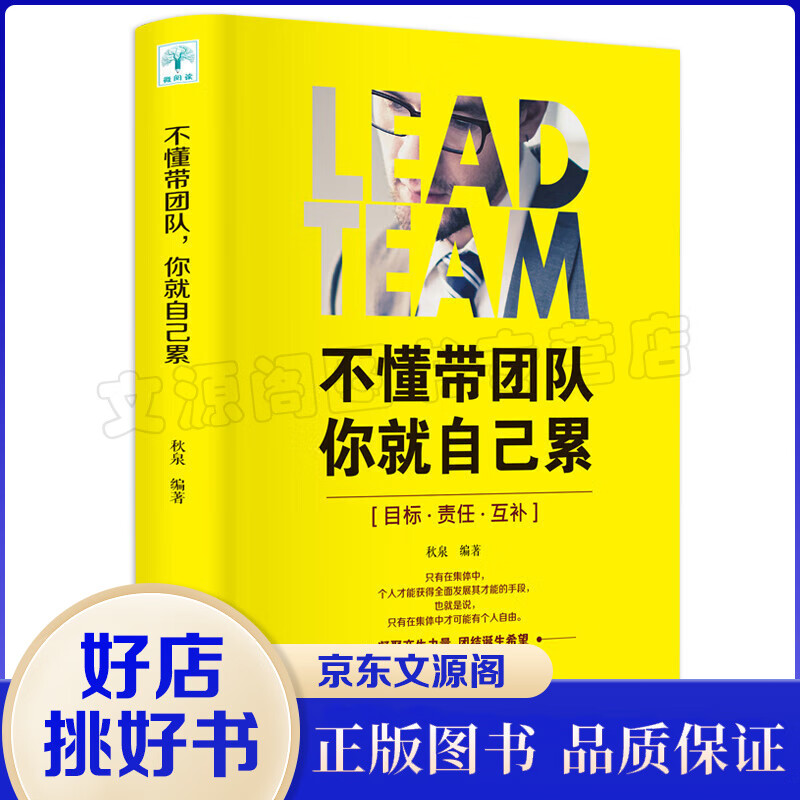 不懂带团队你就自己累 员工企业公司管理成功励志书籍 人力资源行政管理技巧书籍