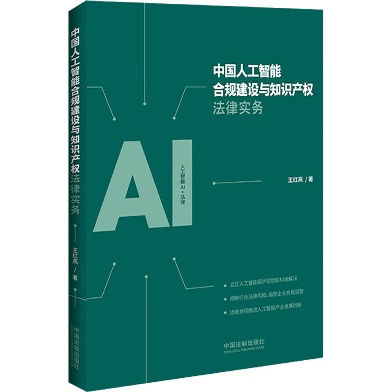 中国人工智能合规建设与知识产权法律实务 图书