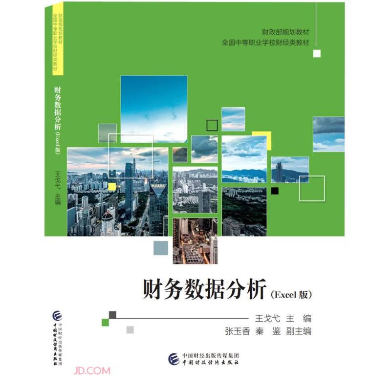 财务数据分析（Excel版）