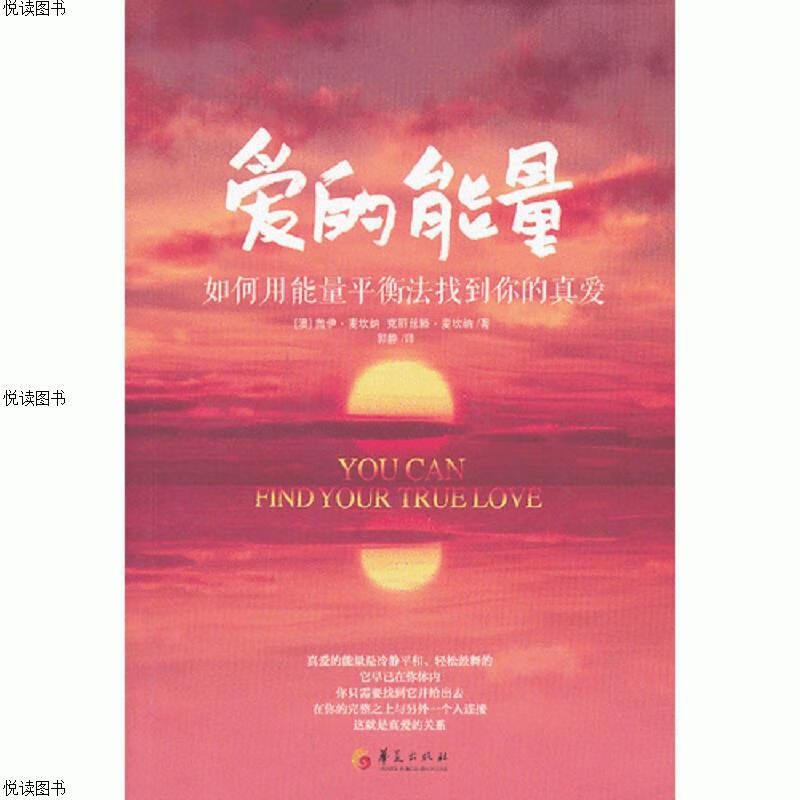 爱的能量：如何用能量平衡法找到你的真爱