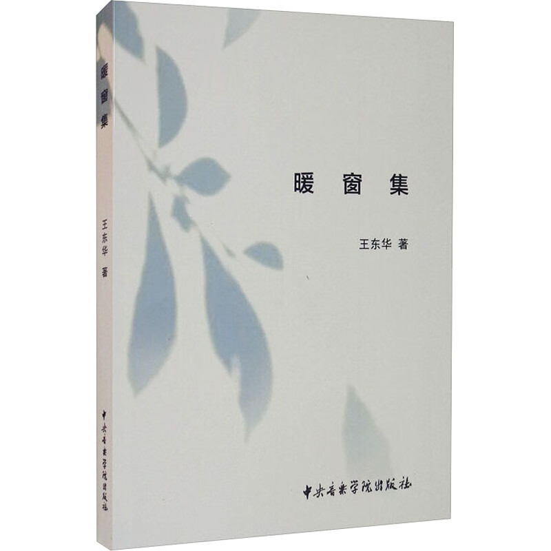 暖窗集 王东华 书籍