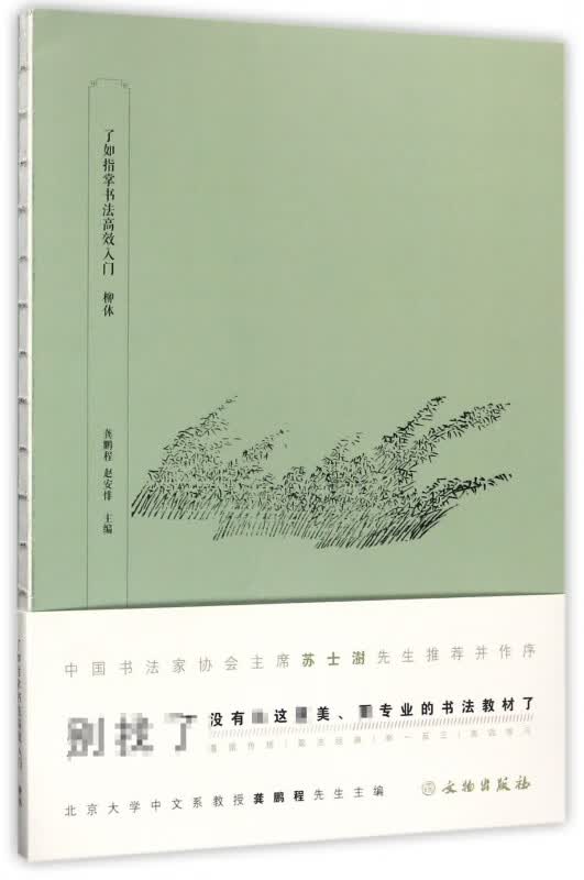 柳体/了如指掌书法高效入门