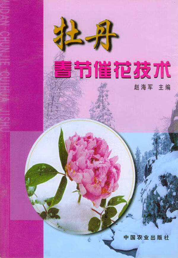 牡丹春节催花技术 赵海军 主编【书】