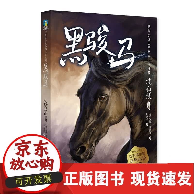 黑骏马 黑骏马
