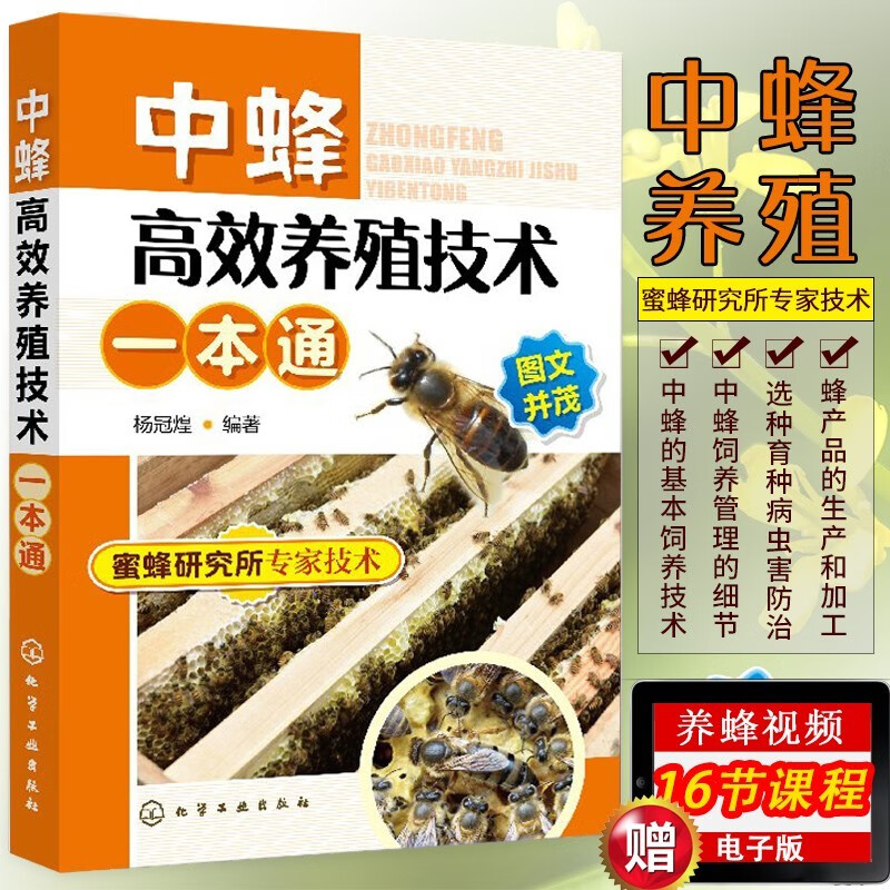 中蜂高效养殖技术一本通 养蜂书籍大全蜜蜂中蜂养殖技术大全 养蜂技术专业指导书 土蜂蜜蜂中华蜂养殖 蜂农技术入门手册 养蜂病虫害防治 中蜂养殖选种育种技术书 化学工业出版社