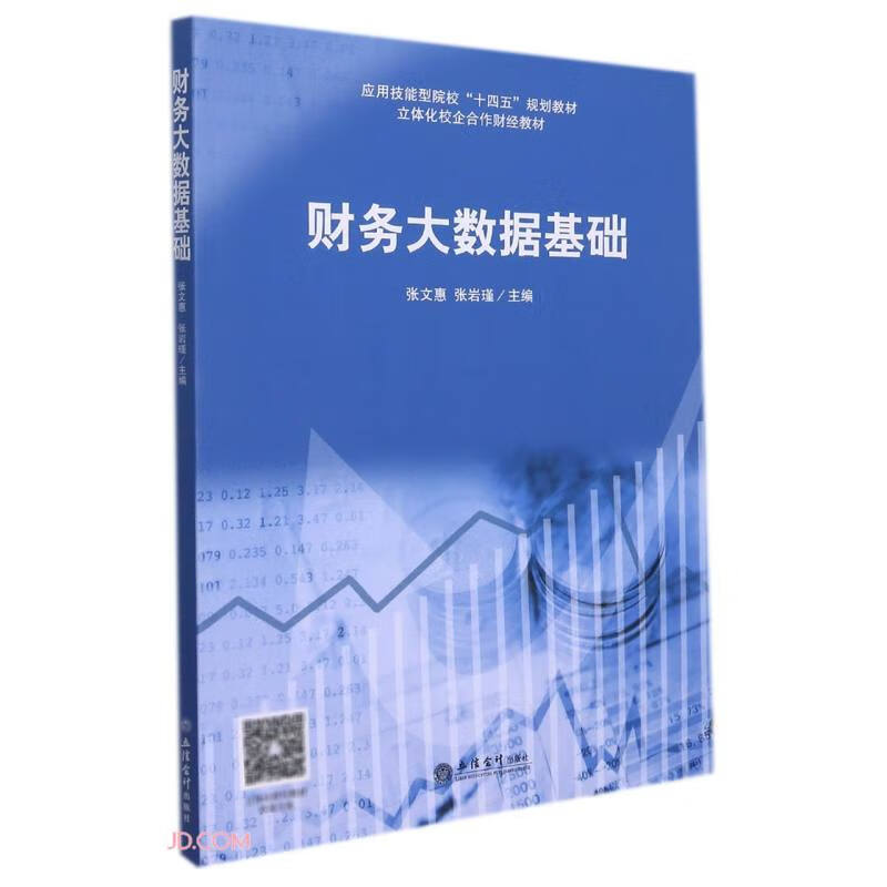 财务大数据基础(立体化校企合作财经教材应用技能型院校十四五规划教材)