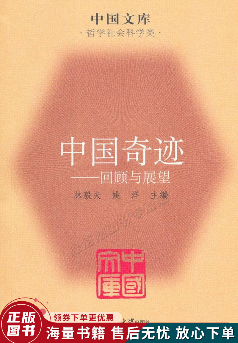 中国奇迹：回顾与展望