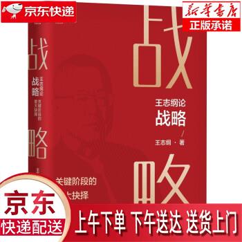 【新华畅销图书】王志纲论战略:关键阶段的重大抉择 王志纲著,窦镇钟 编 机械工业出版社