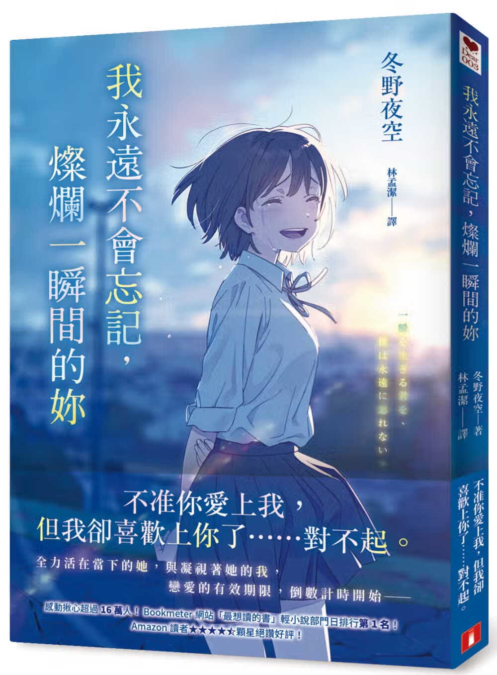 现货 我永远不会忘记 灿烂一瞬间的你 台版原版 冬野夜空 皇冠 文学小说 港台图书