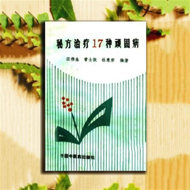 秘方治疗 17种顽固病 汪伟生 曾士族等编著1992 红色